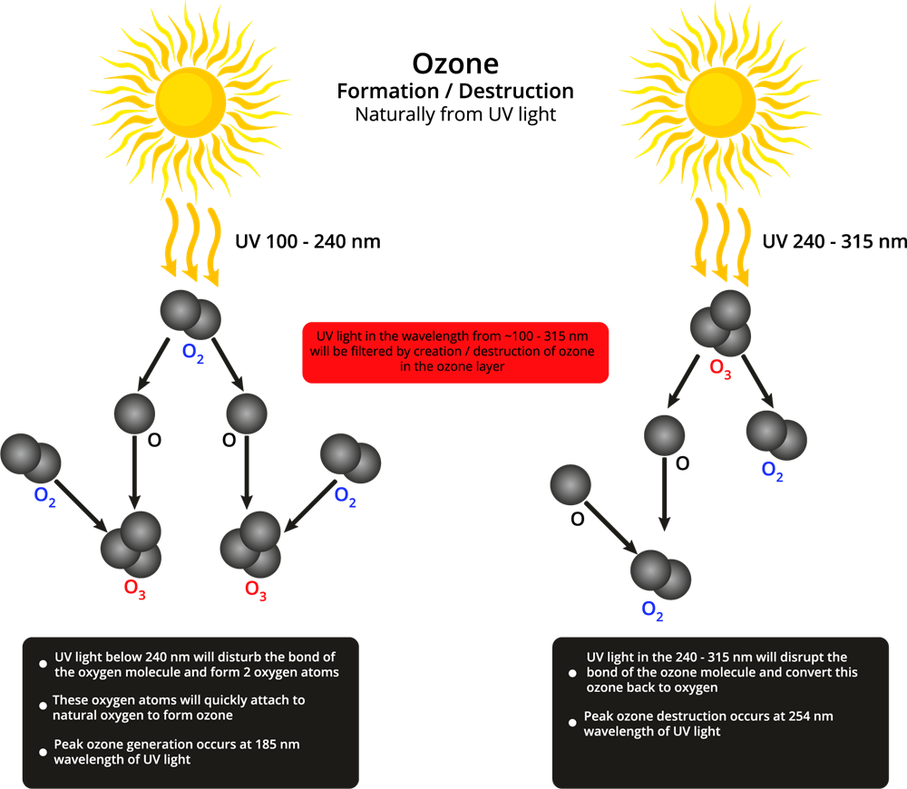 How do human activities affect the environment? — lesson. Science CBSE ...