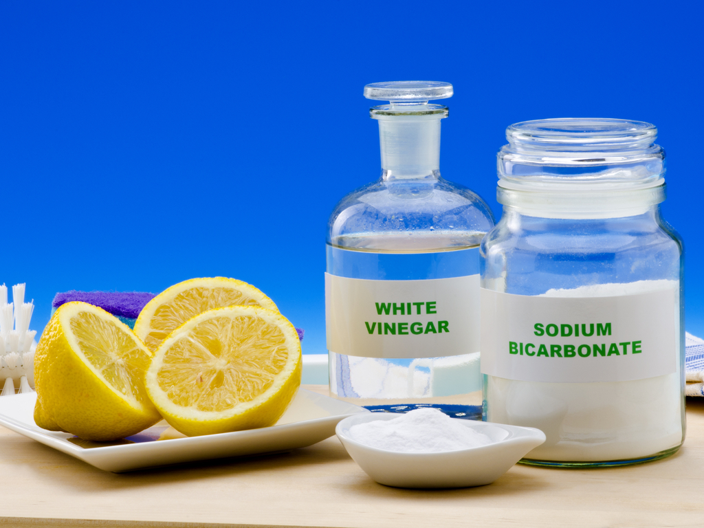 Neutralisation — lesson. Science CBSE, Class 7.